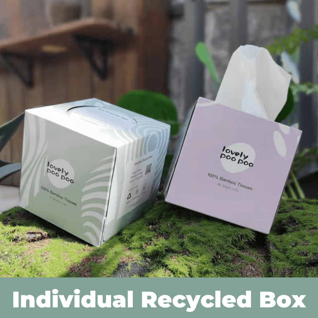 Eco Friendly Toilet Tissue Paper & Towel | Lovely Poo Poo®